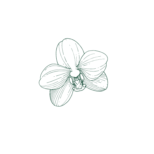 RESOURCES – orchidtect.com